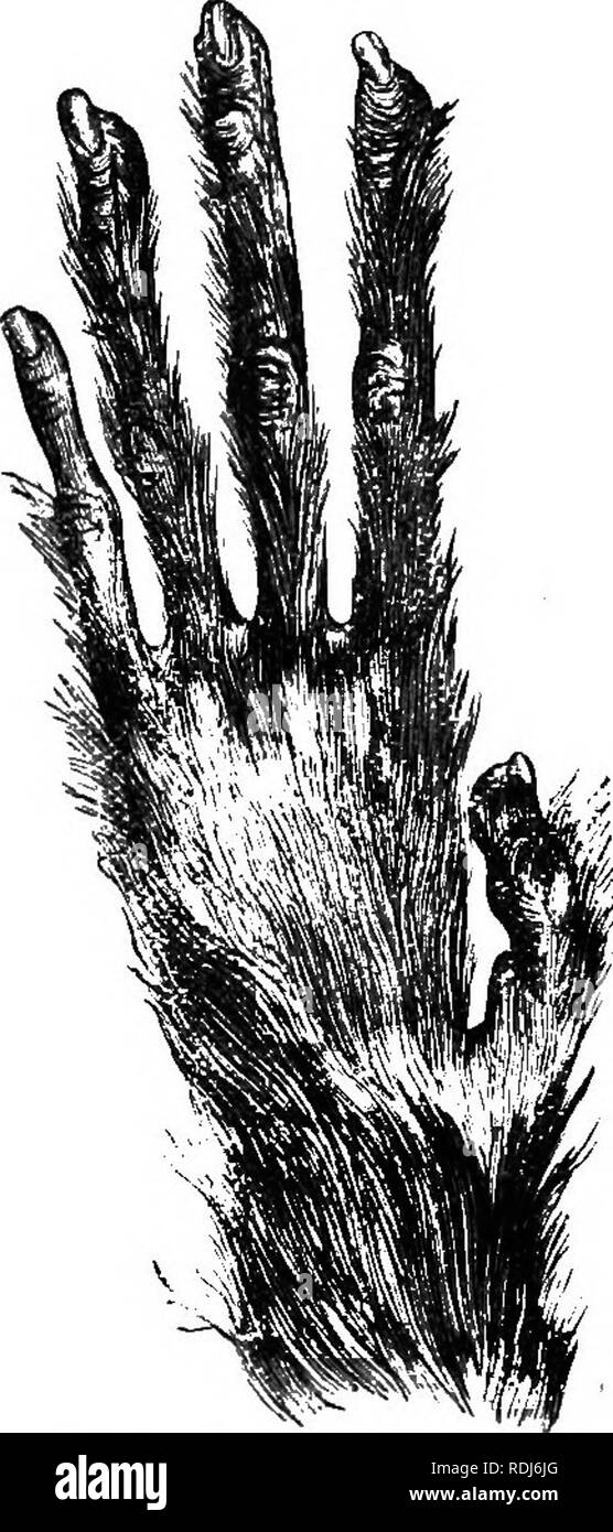 Bent thumb Black and White Stock Photos & Images - Alamy