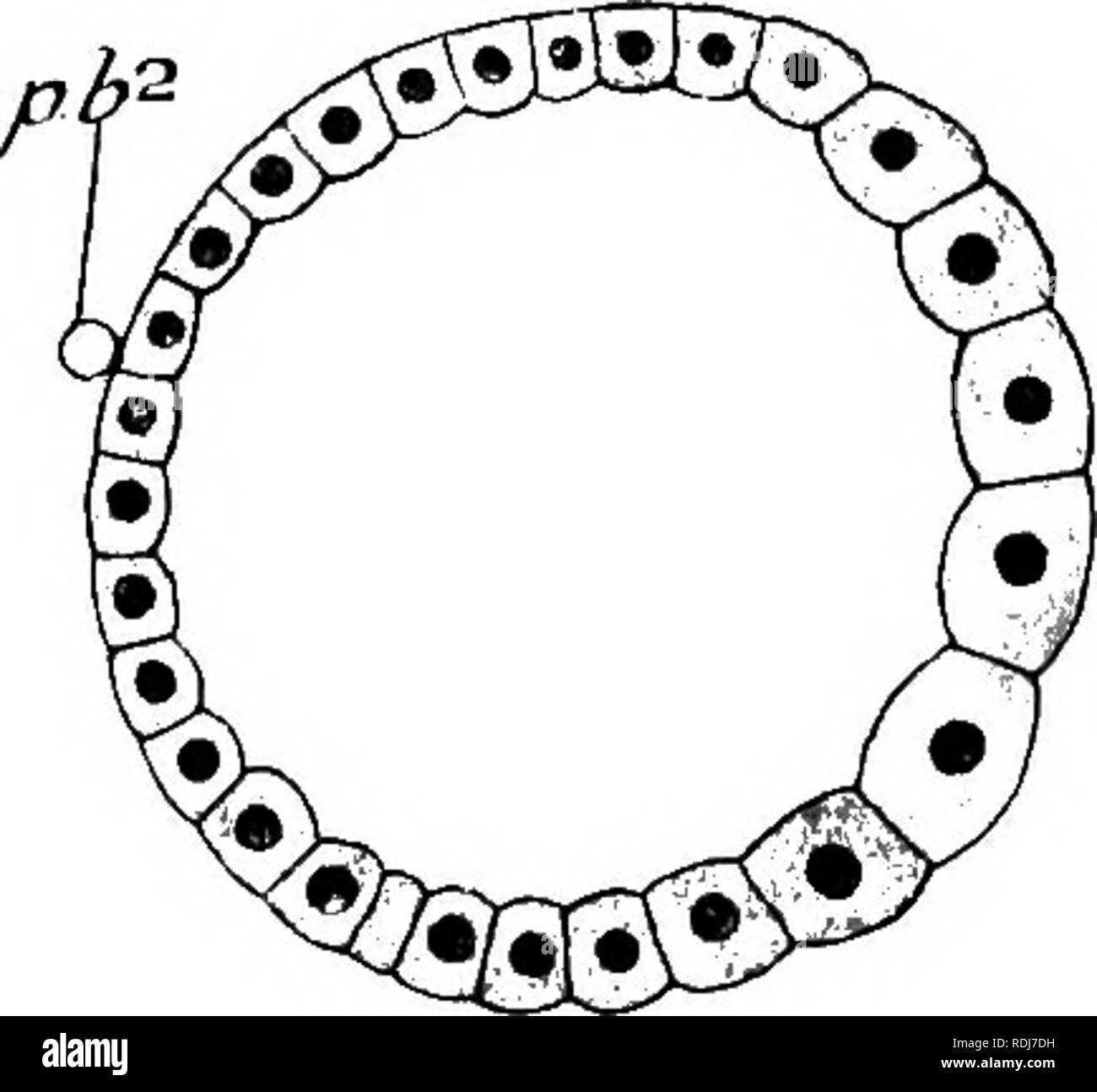 Plh 32 hi-res stock photography and images - Alamy