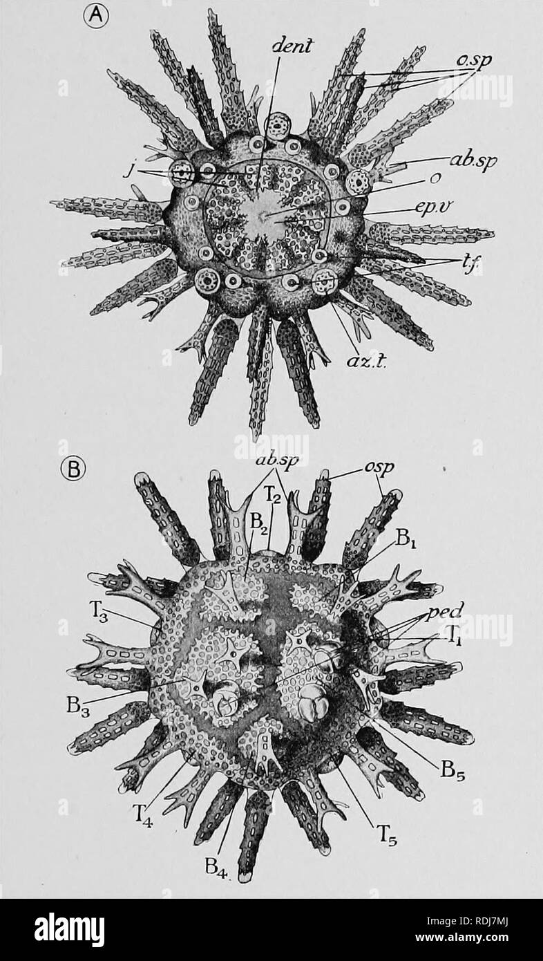 Pe b5 hi-res stock photography and images - Alamy