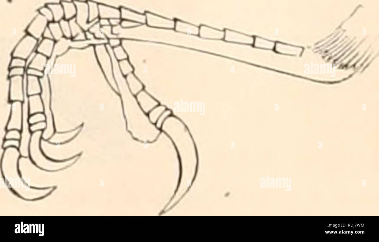 Doigt et pouce hi-res stock photography and images - Alamy