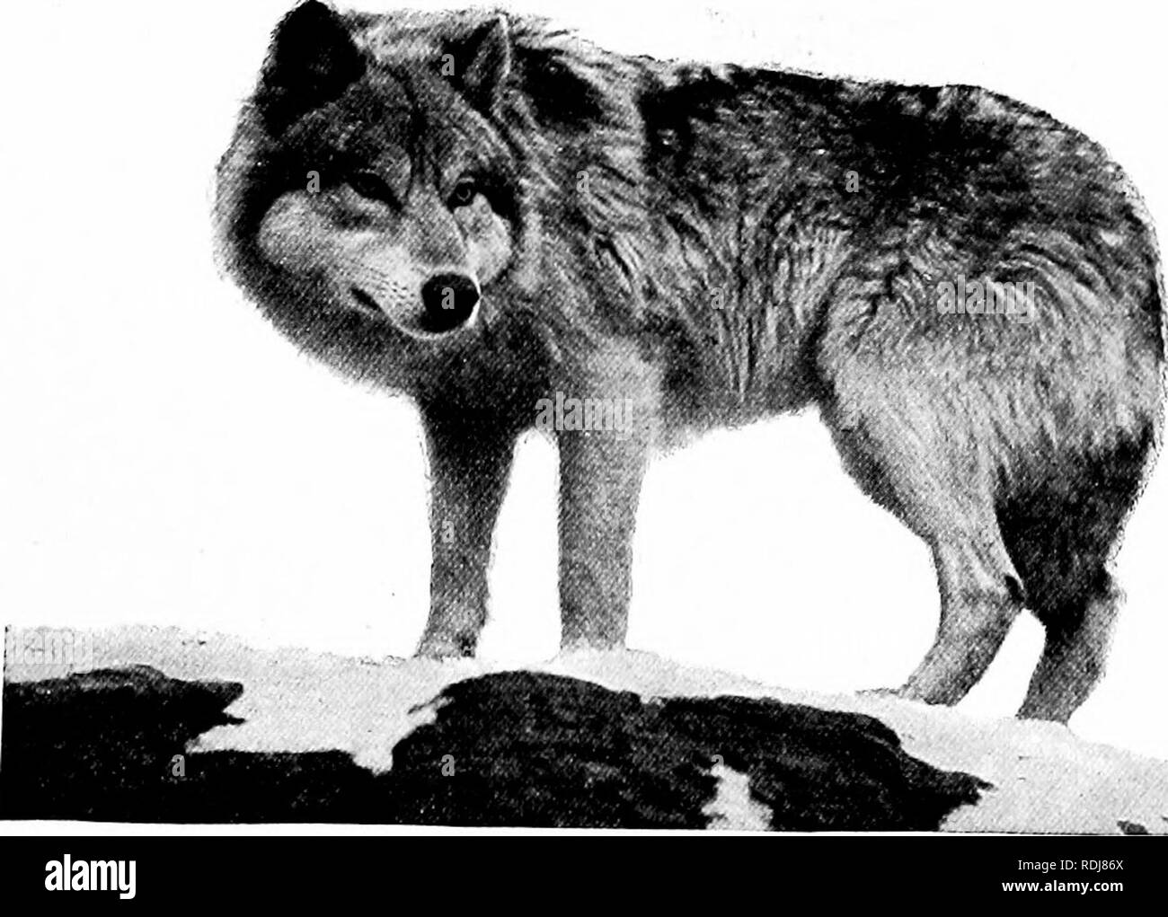 99 loading hi-res stock photography and images - Alamy