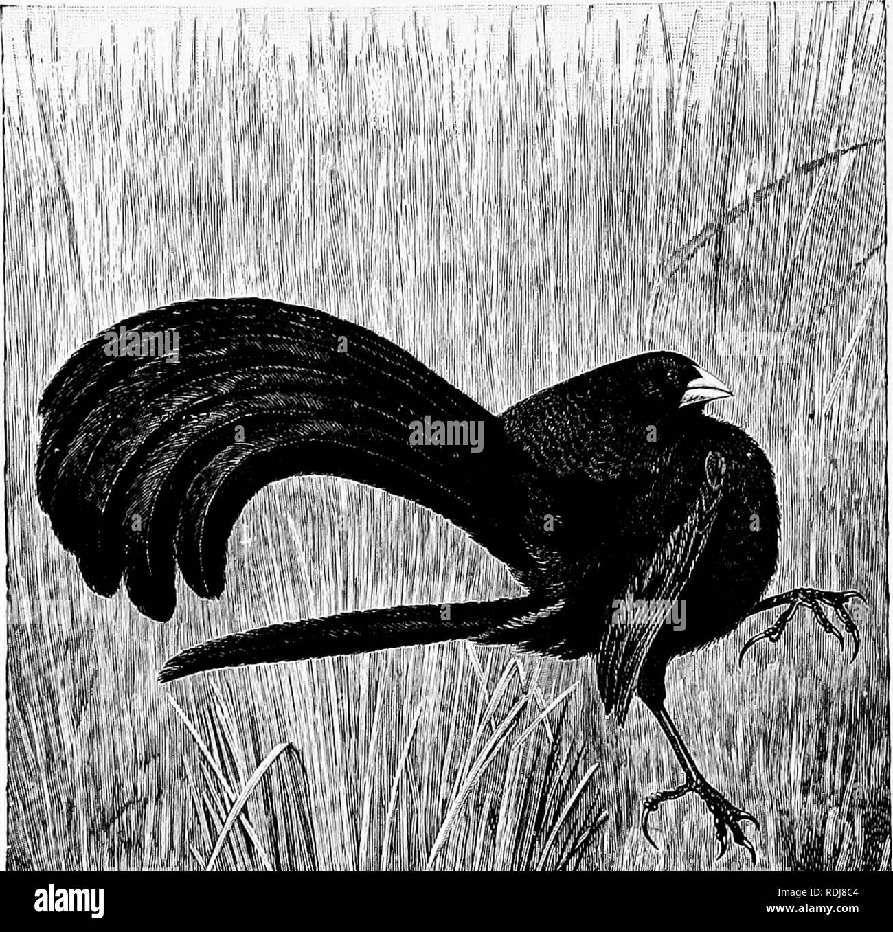 Man falling at feet Black and White Stock Photos & Images - Alamy