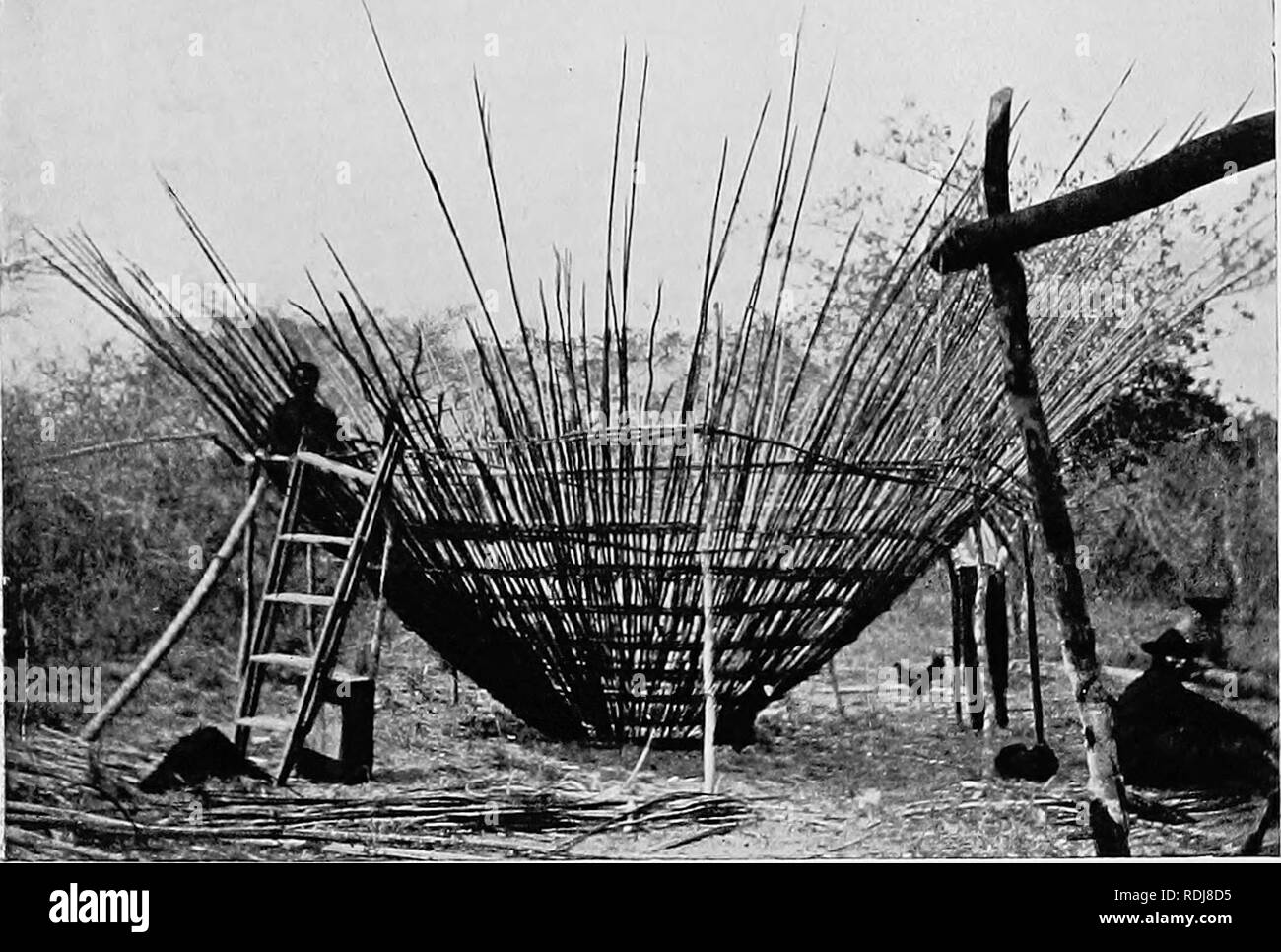 African river systems Black and White Stock Photos & Images - Alamy