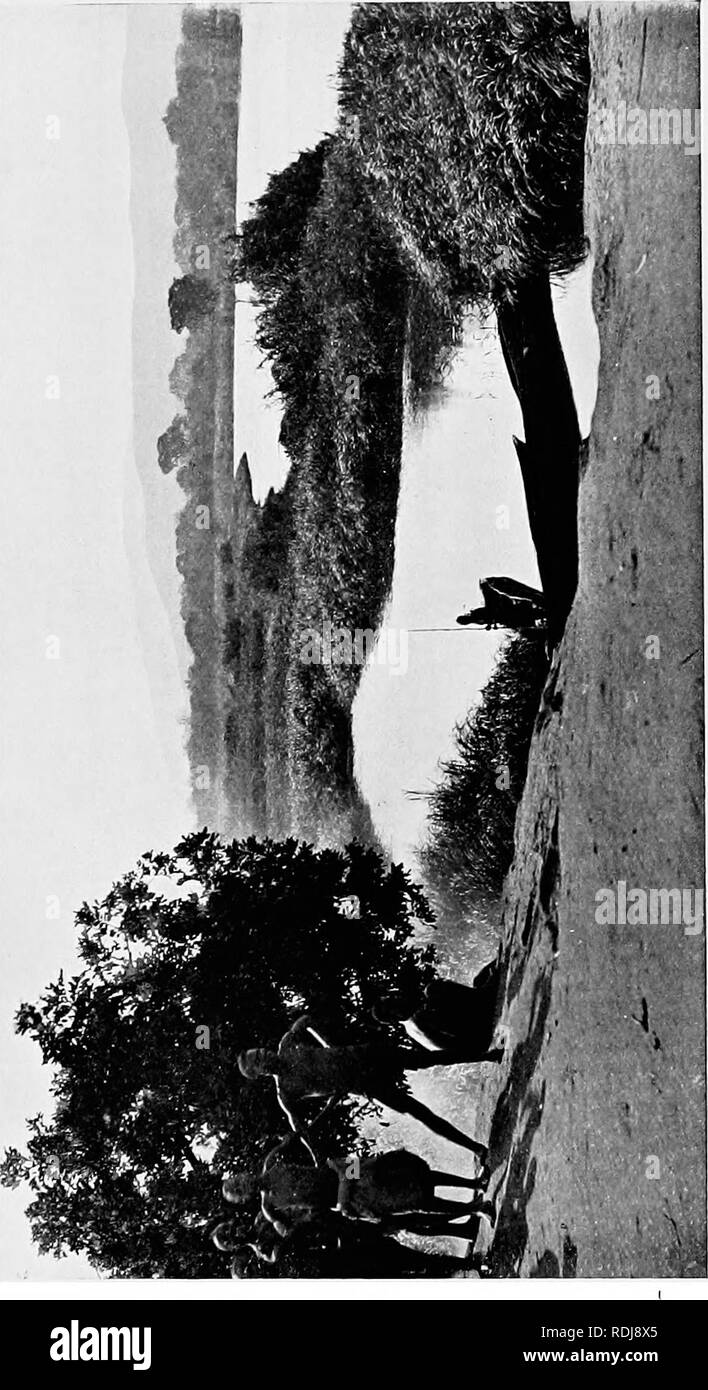 . Zambezia : a general description of the valley of the Zambezi River ...