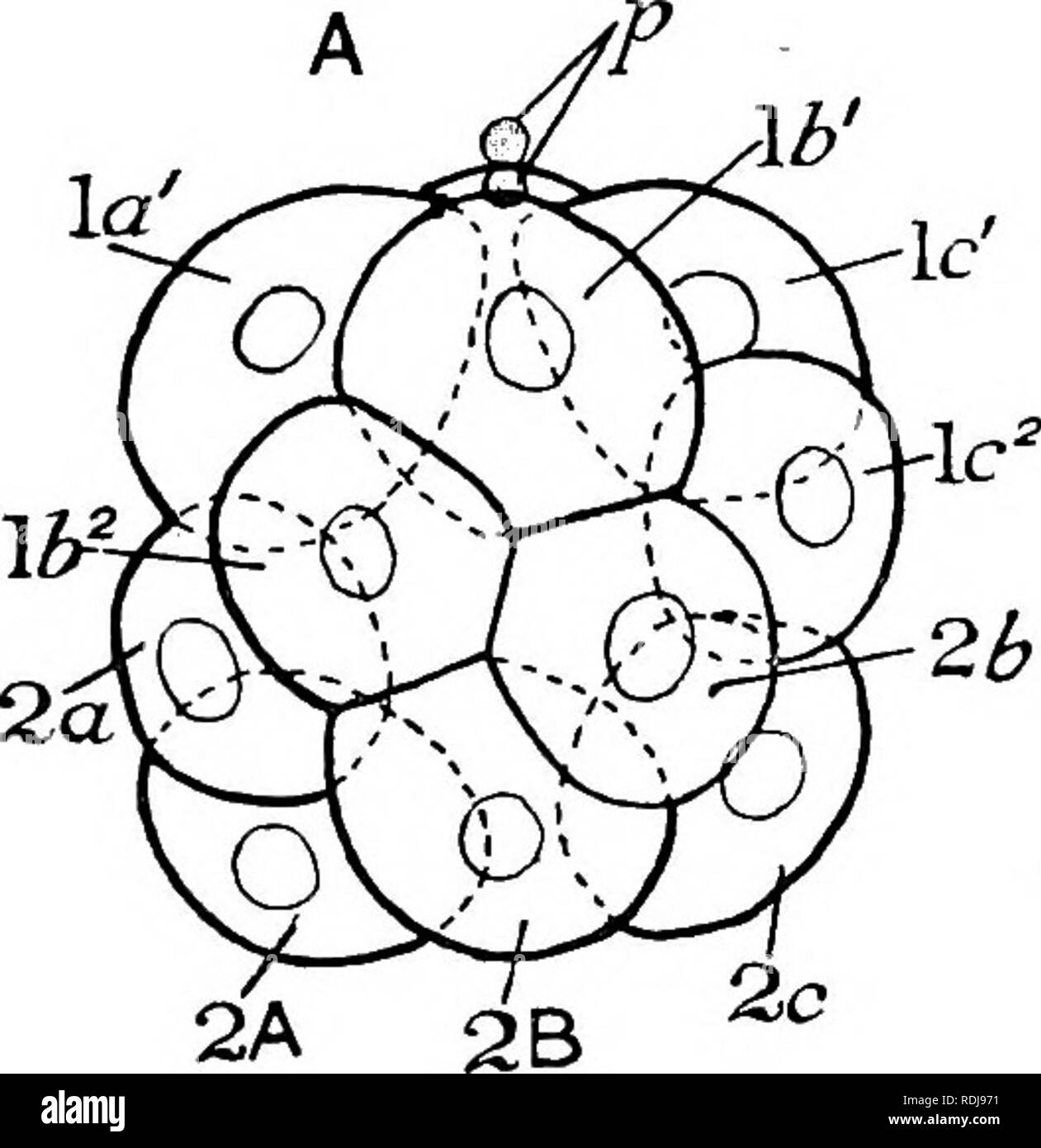 Yatsu hi-res stock photography and images - Alamy