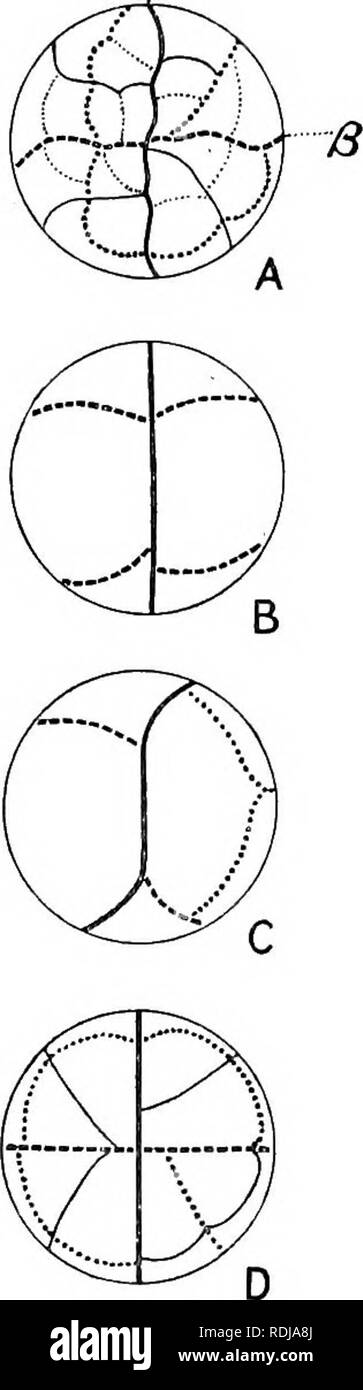 Now again text on Black and White Stock Photos & Images - Alamy