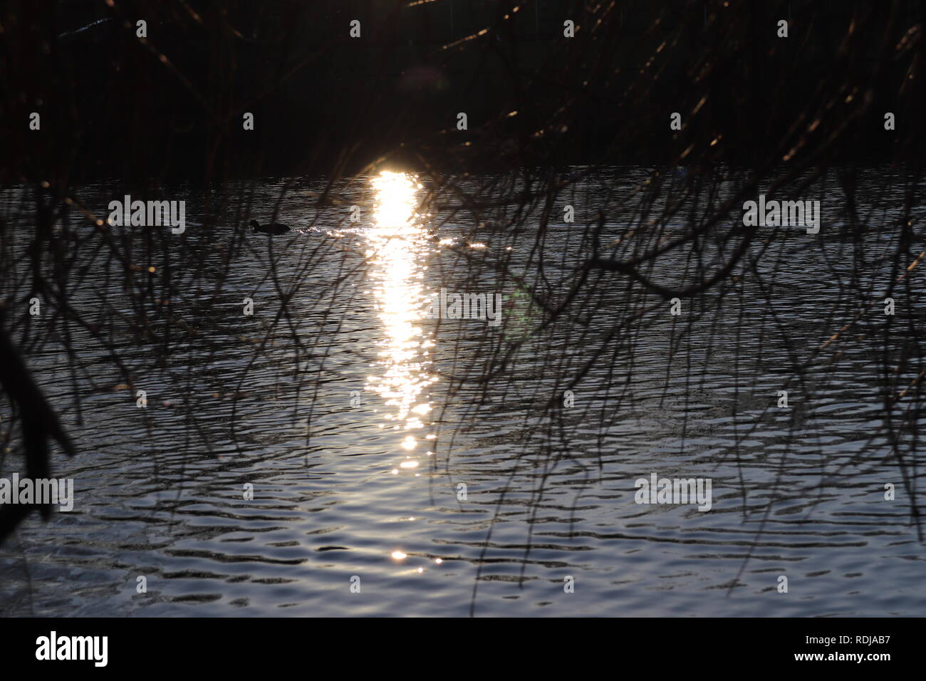 Sun, Reflection in Water Stock Photo - Alamy