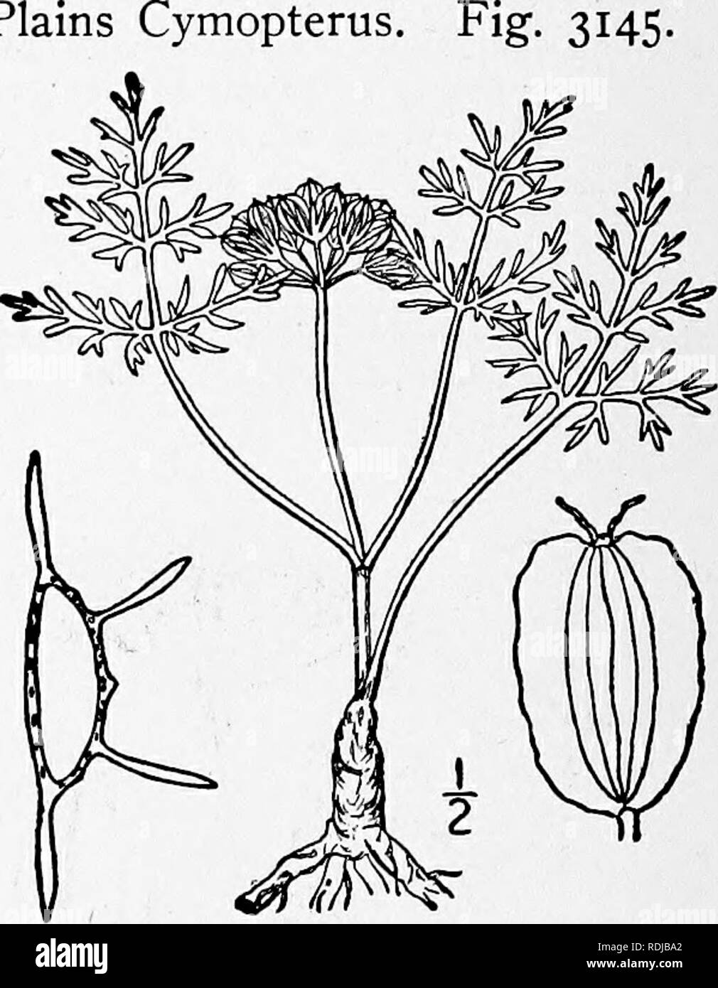 3144 g hi-res stock photography and images - Alamy