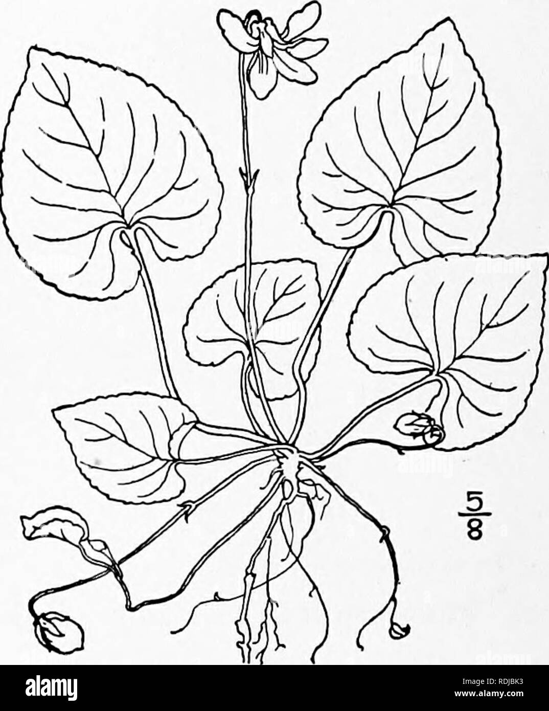 247 dc hi-res stock photography and images - Alamy