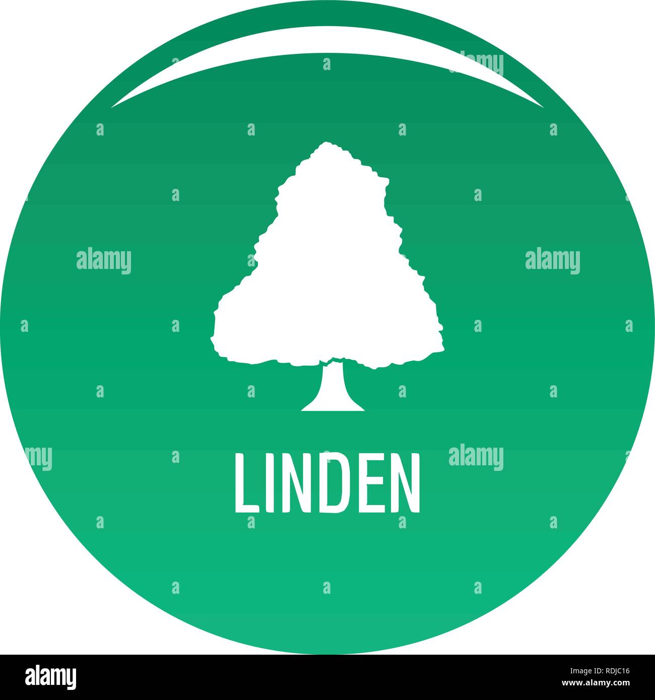 Linden tree icon. Simple illustration of linden tree vector icon for ...