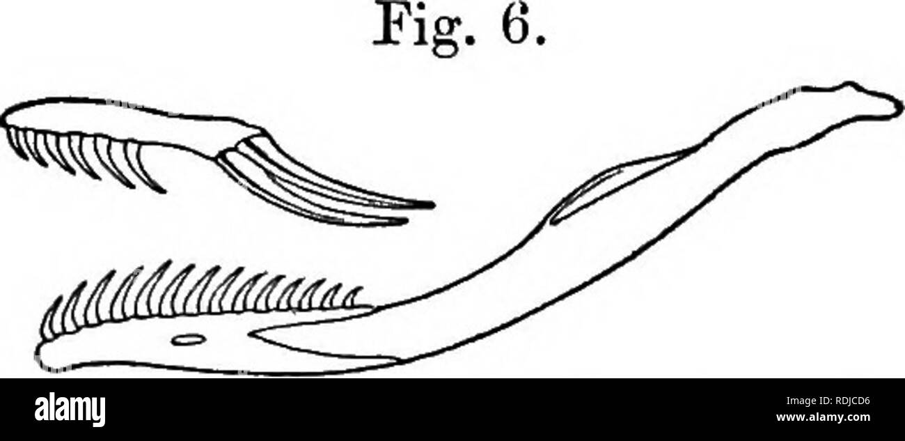 Rounded bum hi-res stock photography and images - Alamy