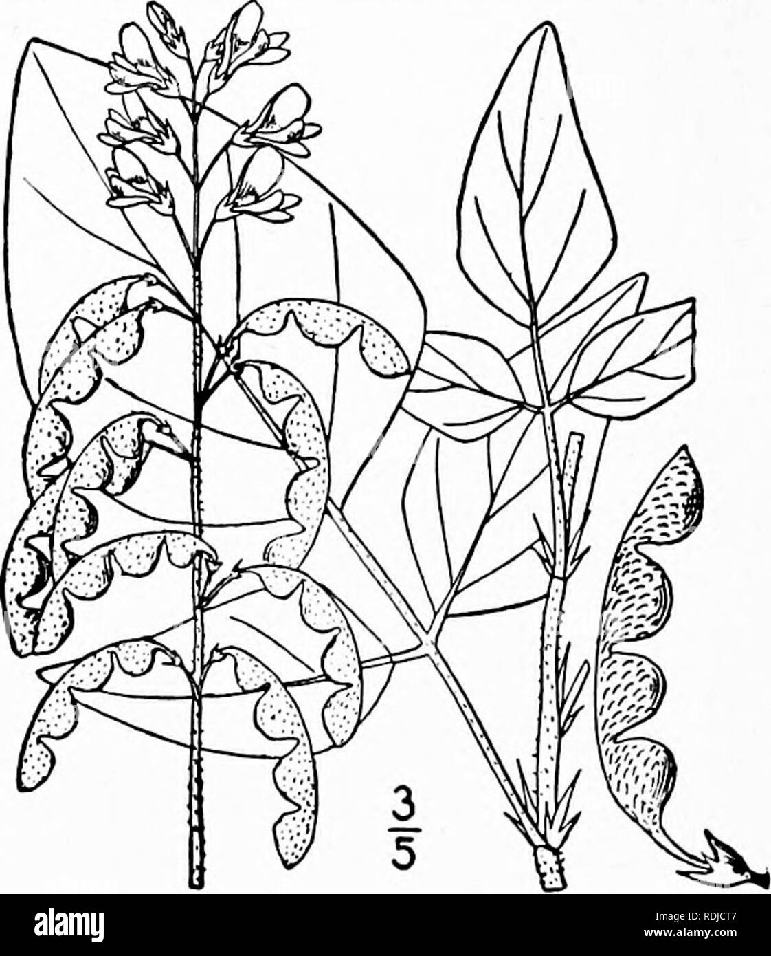 216 dc Black and White Stock Photos & Images - Alamy