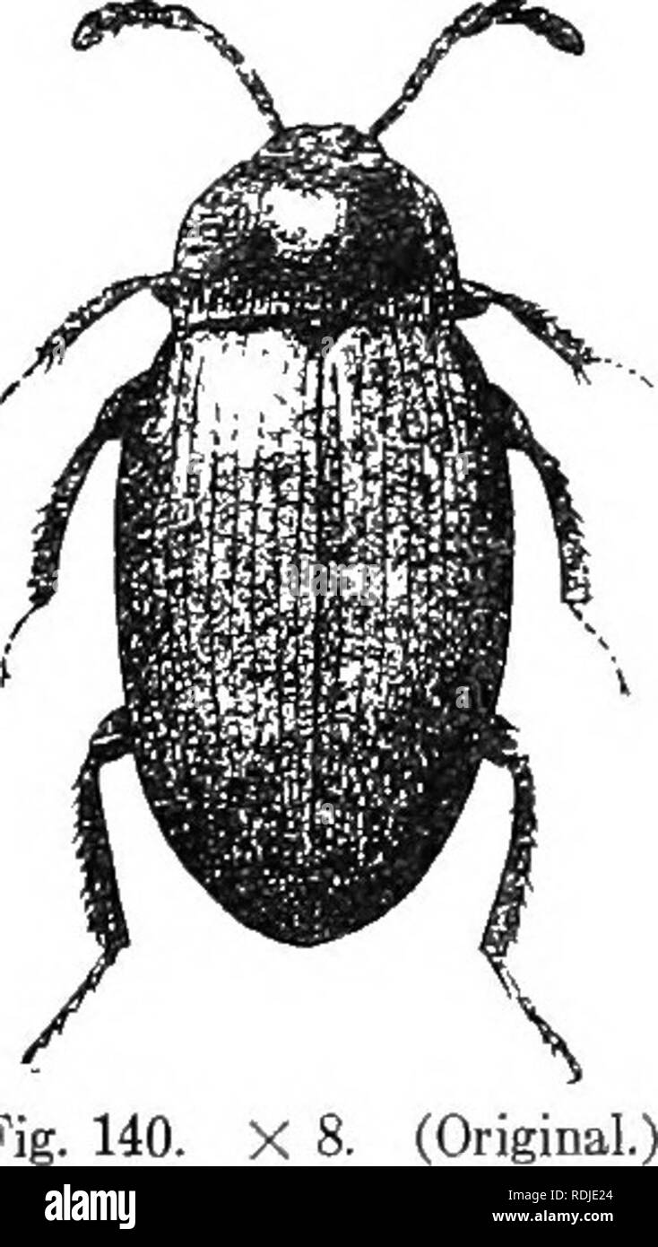 Cholk hi-res stock photography and images - Alamy