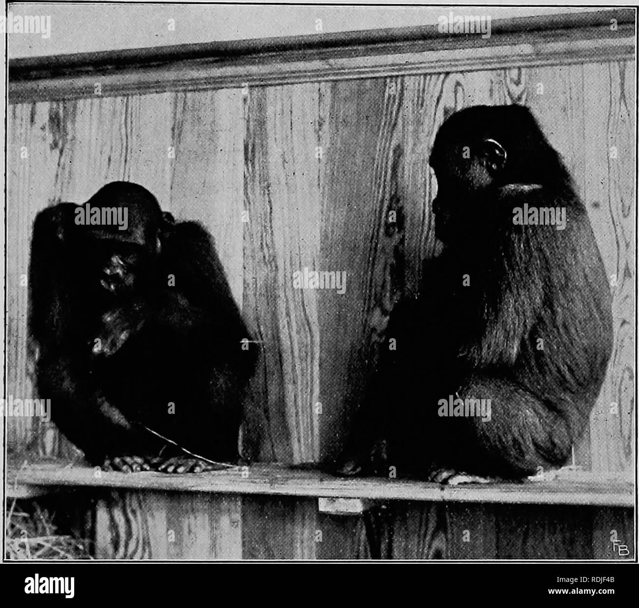 . Beasts & men; being experiences for half a century among wild animals ...