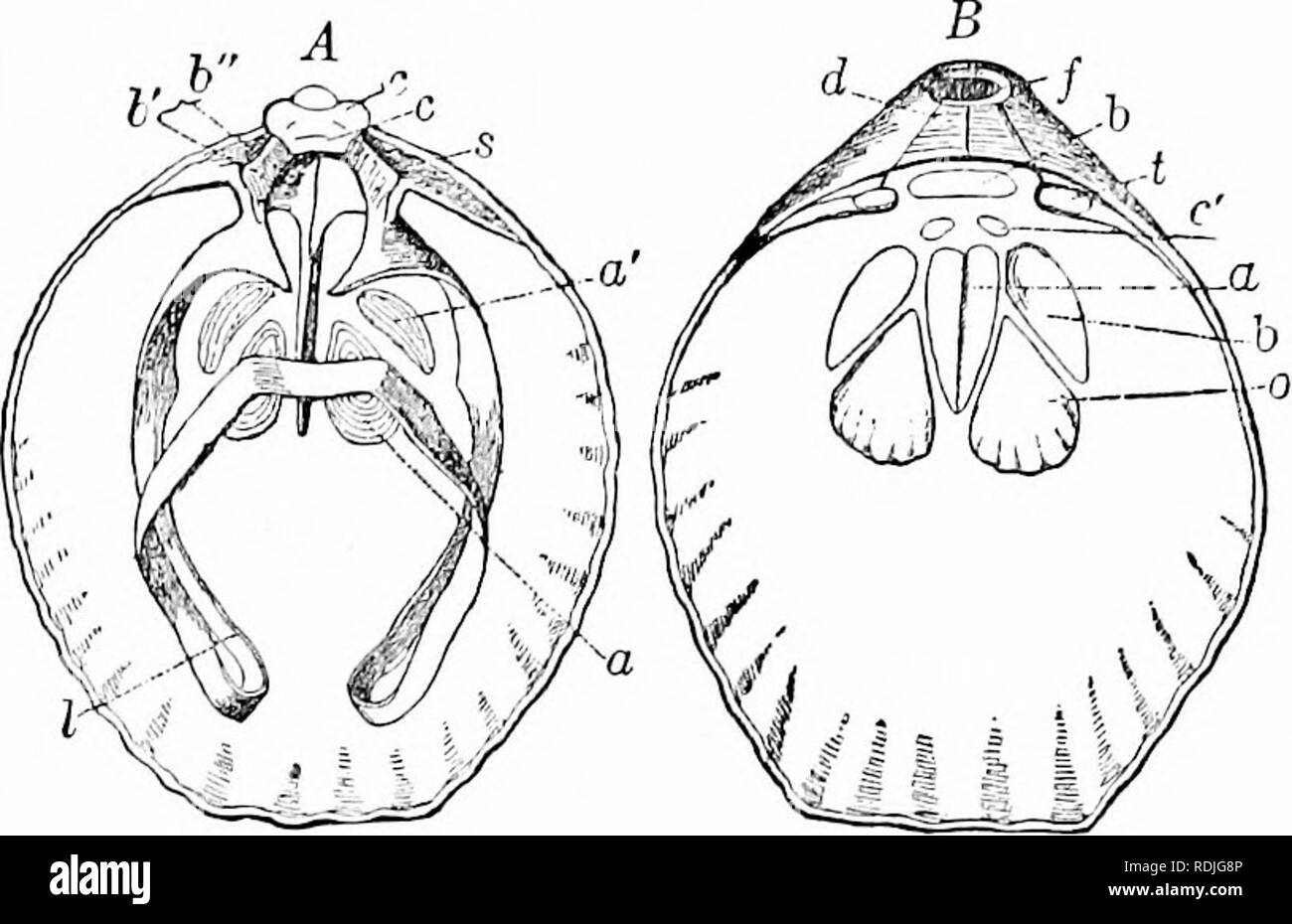 Extension of arm Black and White Stock Photos & Images - Alamy