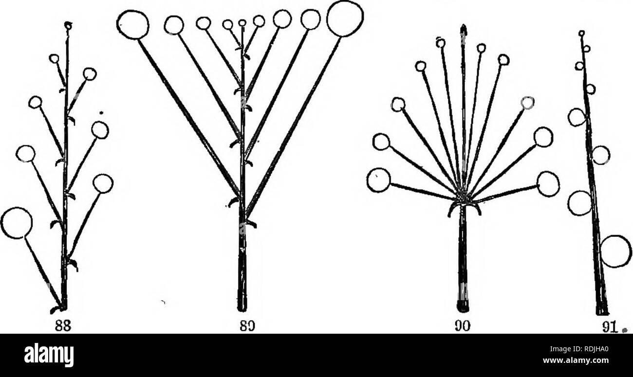 Centre axis Black and White Stock Photos & Images - Alamy