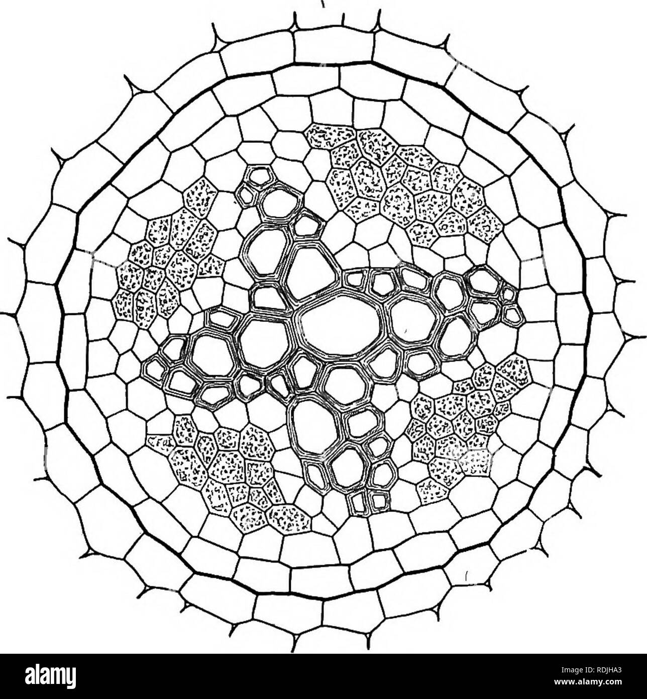 Larger stele hi-res stock photography and images - Alamy