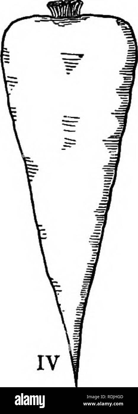 Conical Shaped Black and White Stock Photos & Images - Alamy