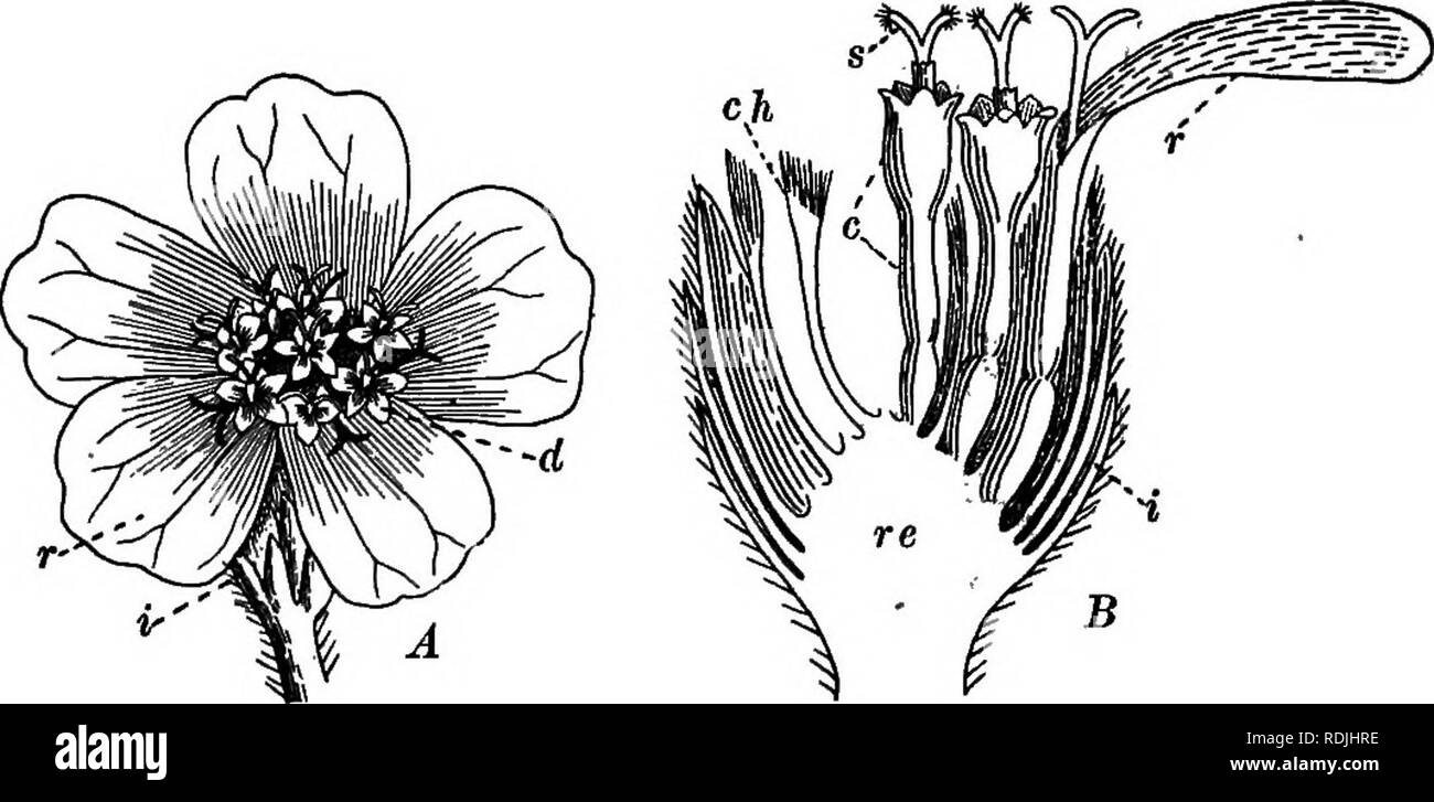 Tubular foundations hi-res stock photography and images - Alamy