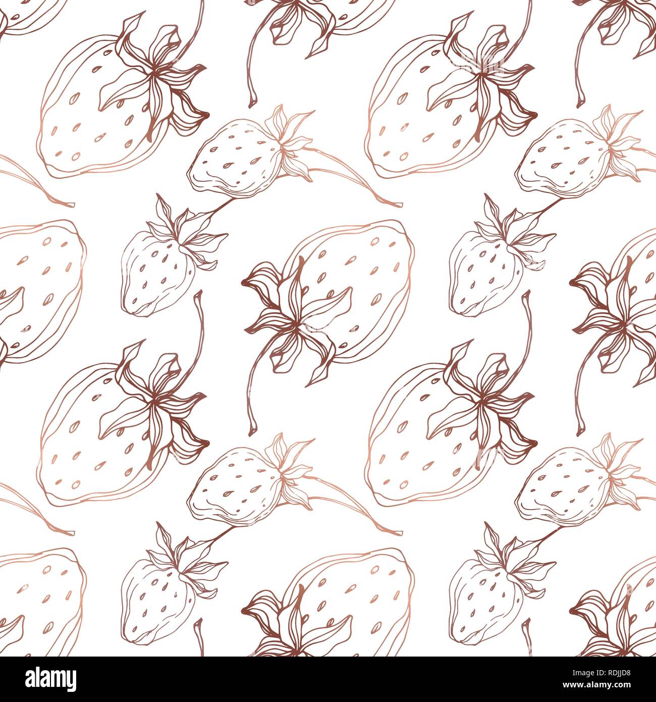 Vector Strawberry fruits. Copper engraved ink art. Seamless background ...