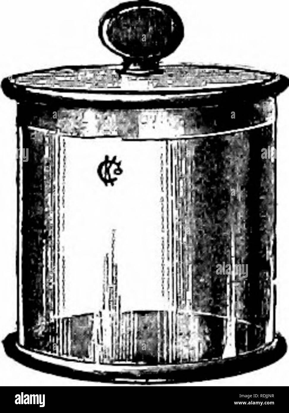 Mammalian anatomy special reference cat hi-res stock photography and ...