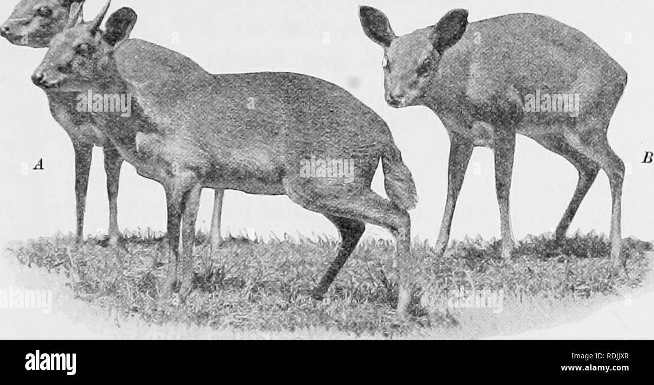 Width 111 Mm High Resolution Stock Photography and Images - Alamy