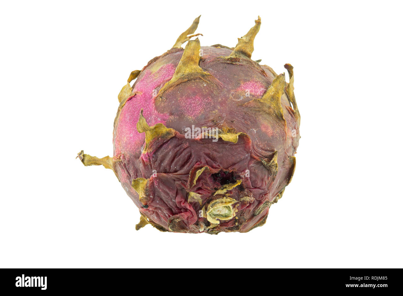 Rotten dragon fruit isolated on white background Stock Photo - Alamy
