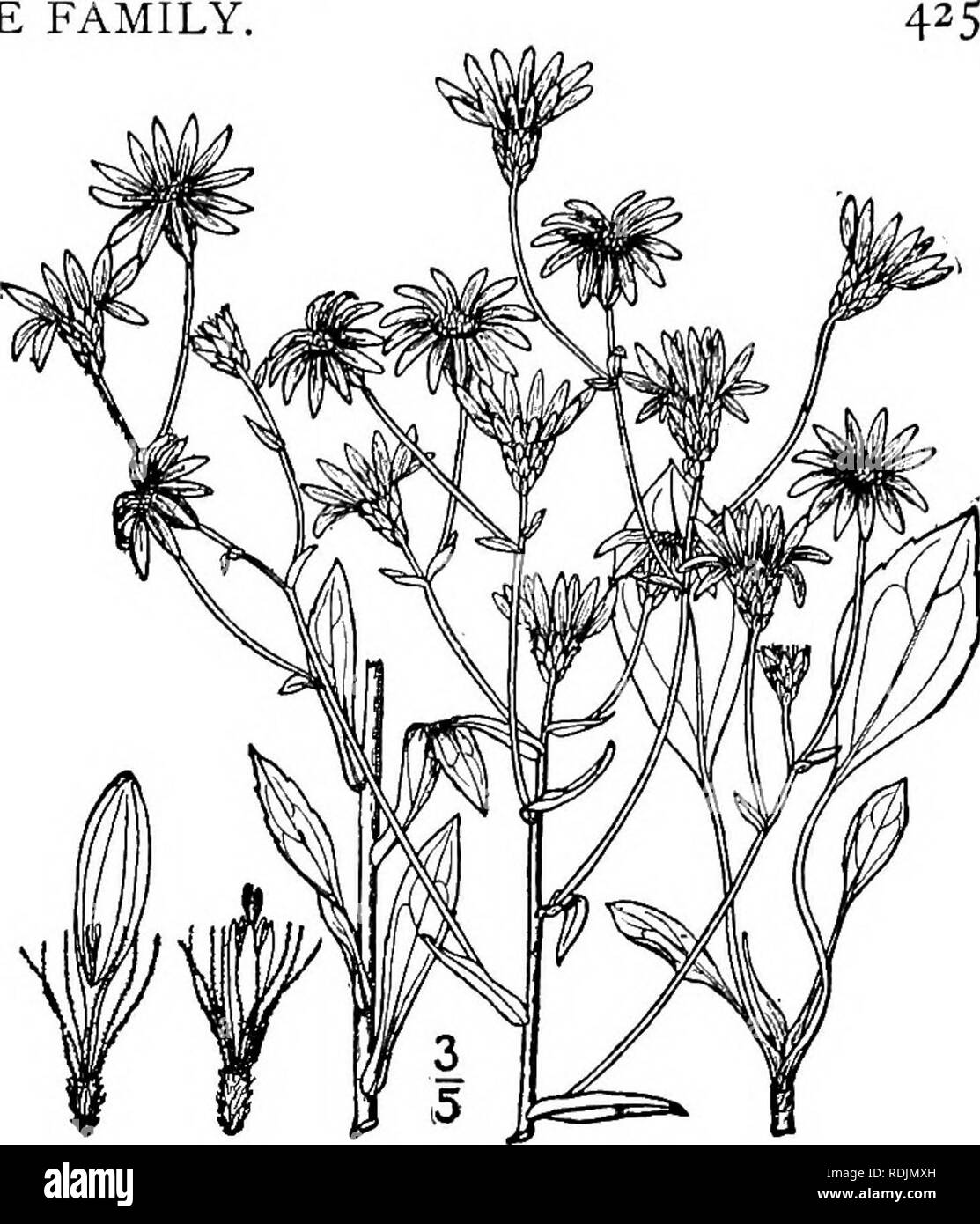 4331 Black and White Stock Photos & Images - Alamy