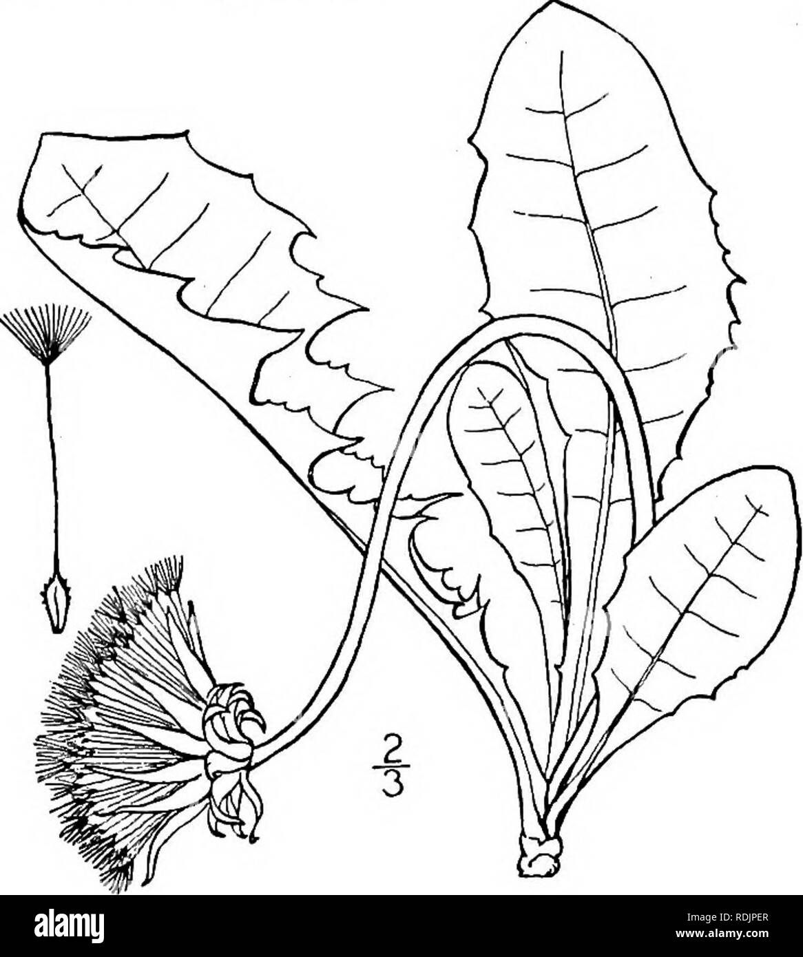 Canada mountain scape Cut Out Stock Images & Pictures - Alamy