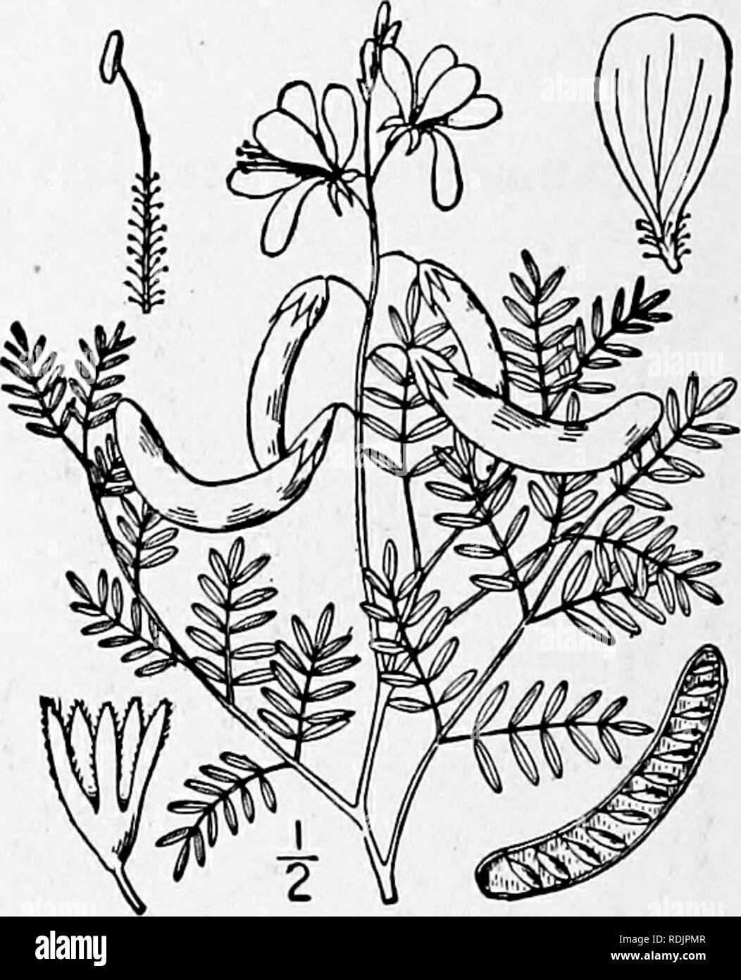 4 10 cav Black and White Stock Photos & Images - Alamy