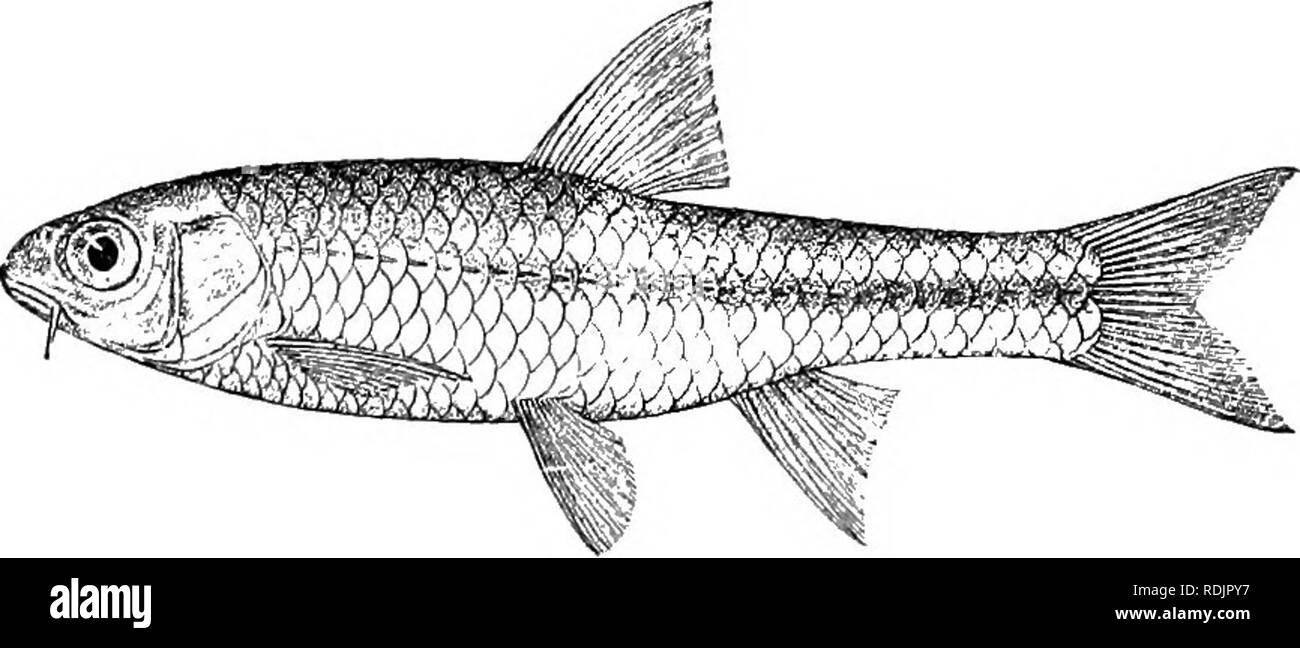 E 1 0 19 Black and White Stock Photos & Images - Alamy