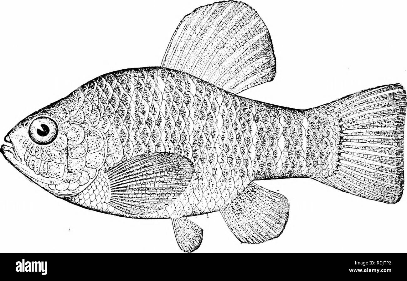 Portion size guide Black and White Stock Photos & Images - Alamy