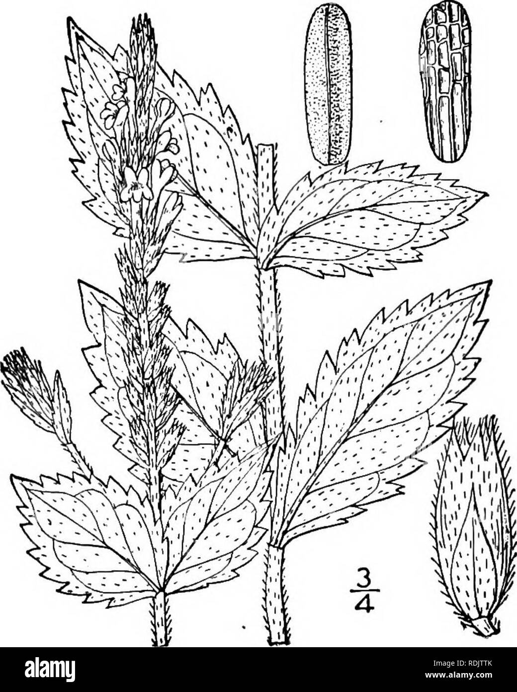 1803 1 Cut Out Stock Images & Pictures - Alamy