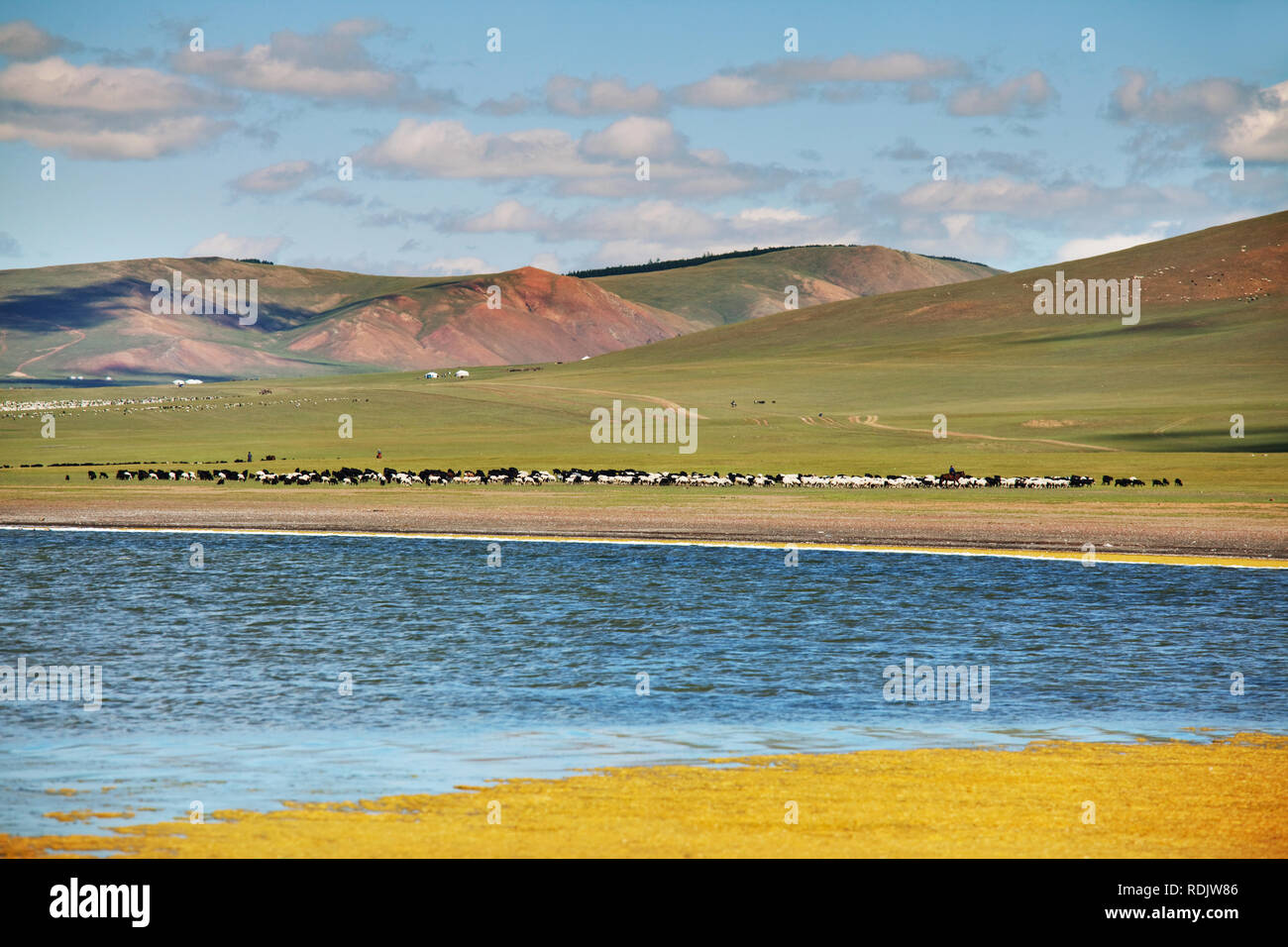 Mountains in Mongolia Stock Photo - Alamy