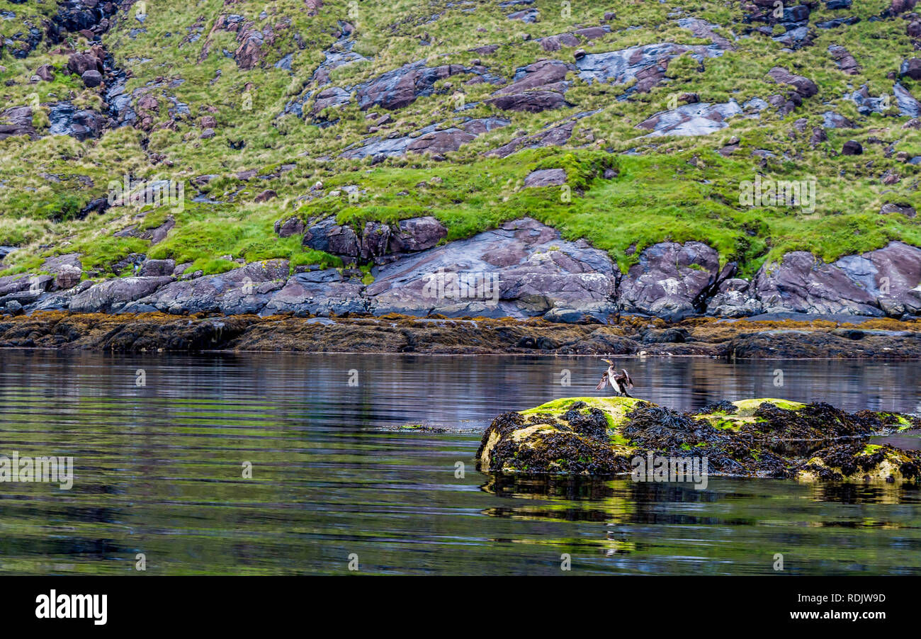 View of the loch coruisk at the Isle of Skye also popular for its ...