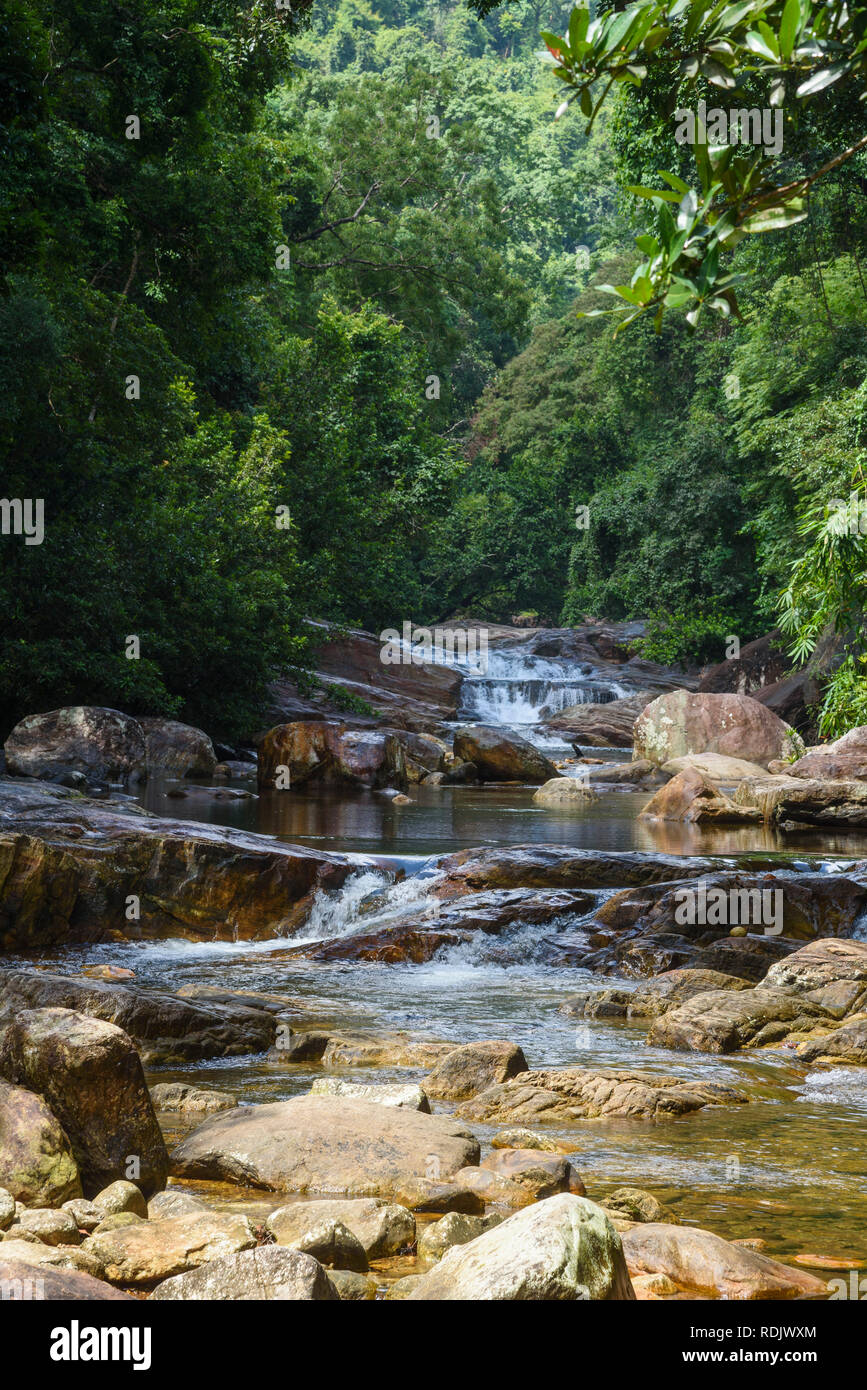 Kallar river near Meenmutty Falls, Ponmudi Hills, Kerala, India Stock ...