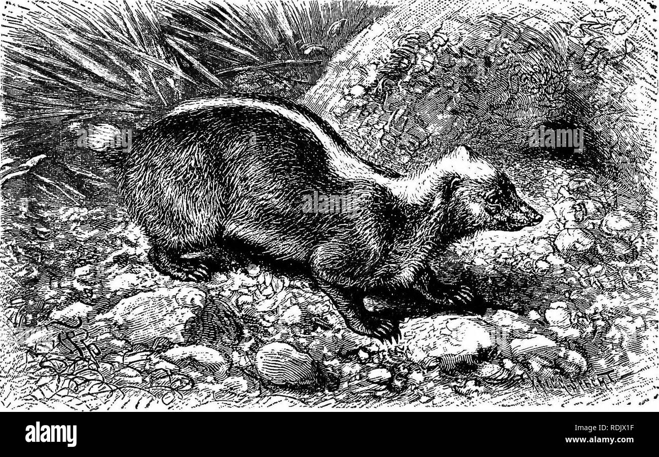 Teledu hi-res stock photography and images - Alamy