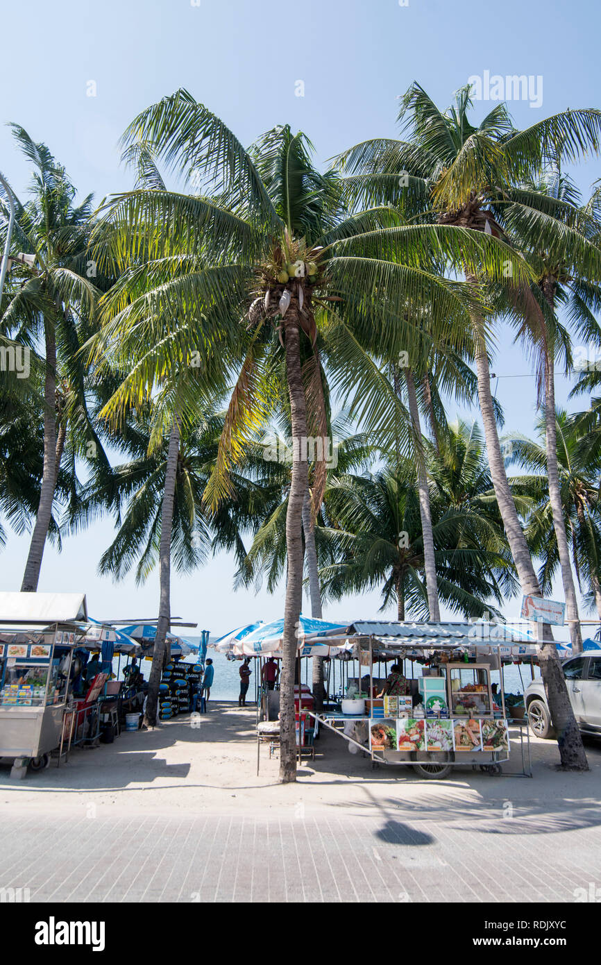 the Bang Saen Beach at the Town of Bangsaen in the Provinz Chonburi in ...