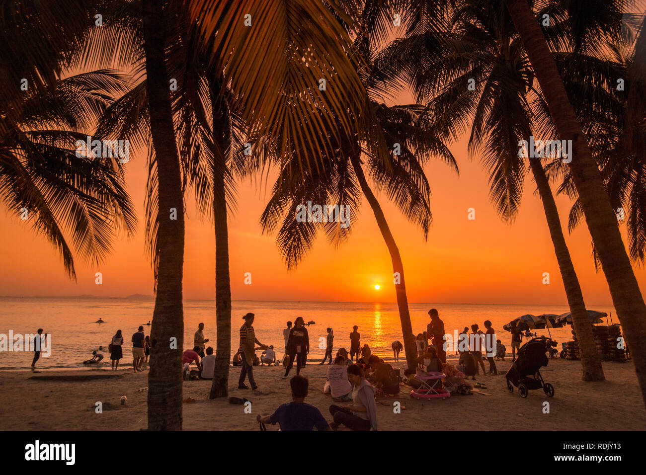 the Bang Saen Beach at the Town of Bangsaen in the Provinz Chonburi in ...