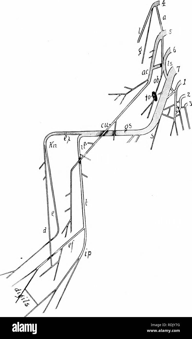 Ip 2 Cut Out Stock Images & Pictures - Alamy
