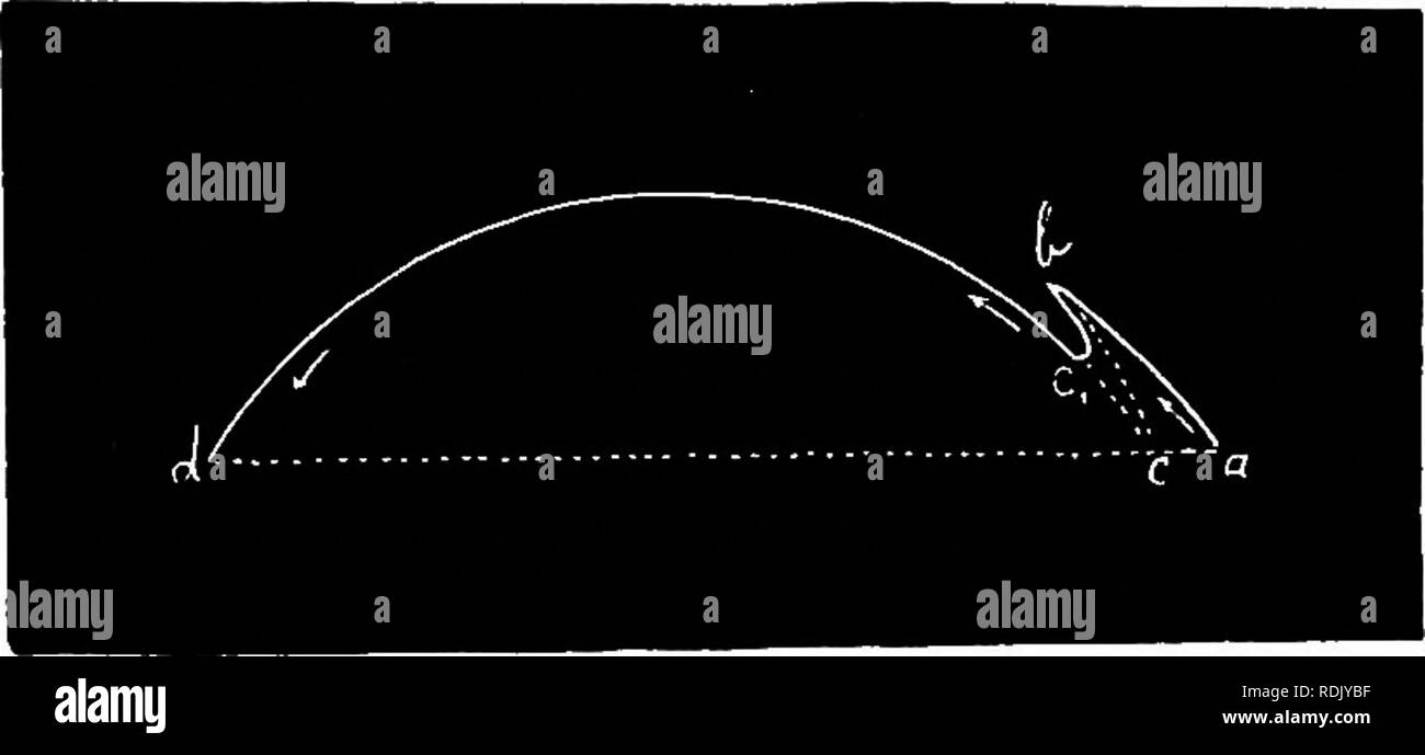 . Clever Hans (the horse of Mr. Von Osten) a contribution to ...
