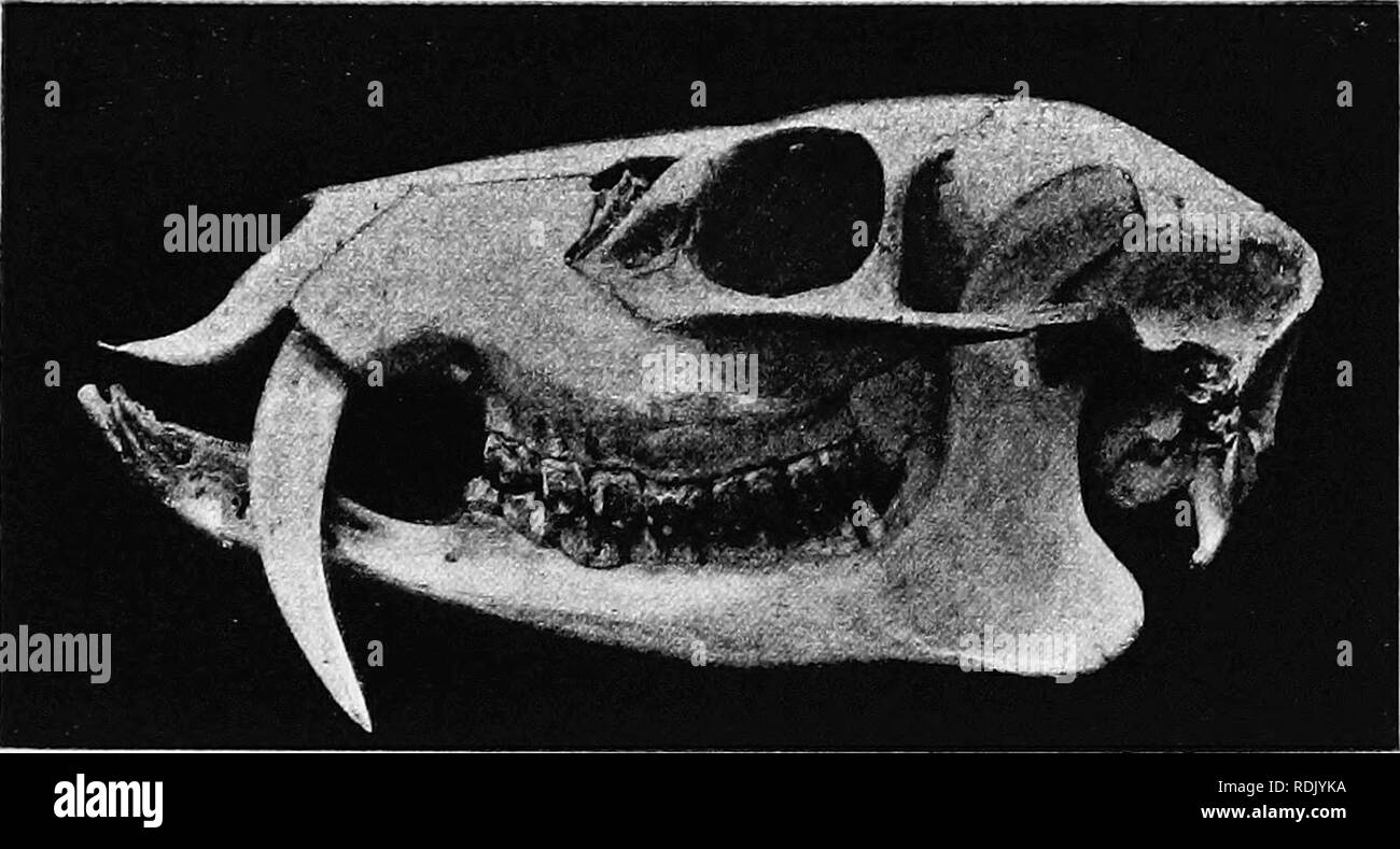 4 tsi Black and White Stock Photos & Images - Alamy