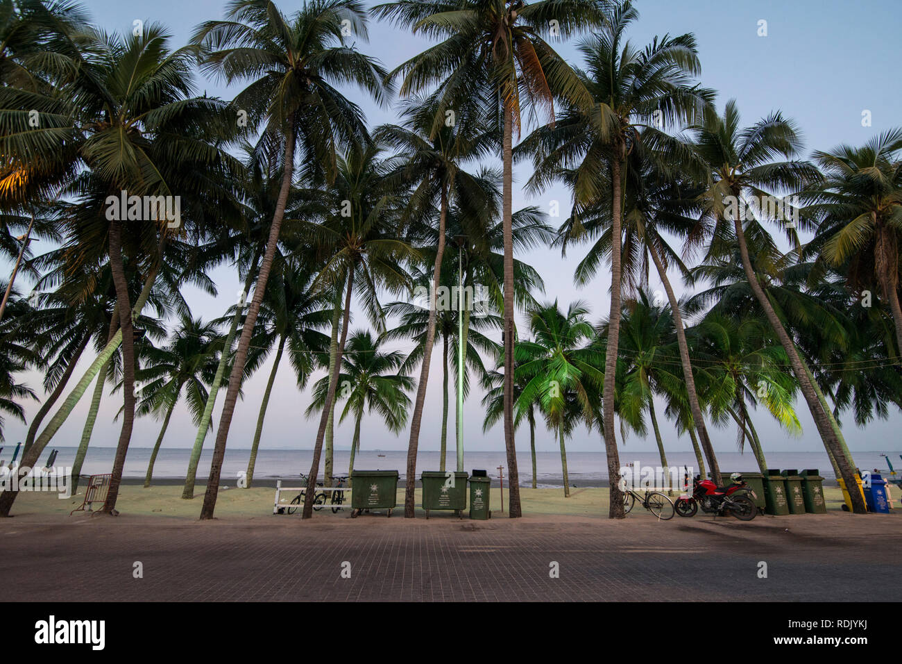 the Bang Saen Beach at the Town of Bangsaen in the Provinz Chonburi in ...