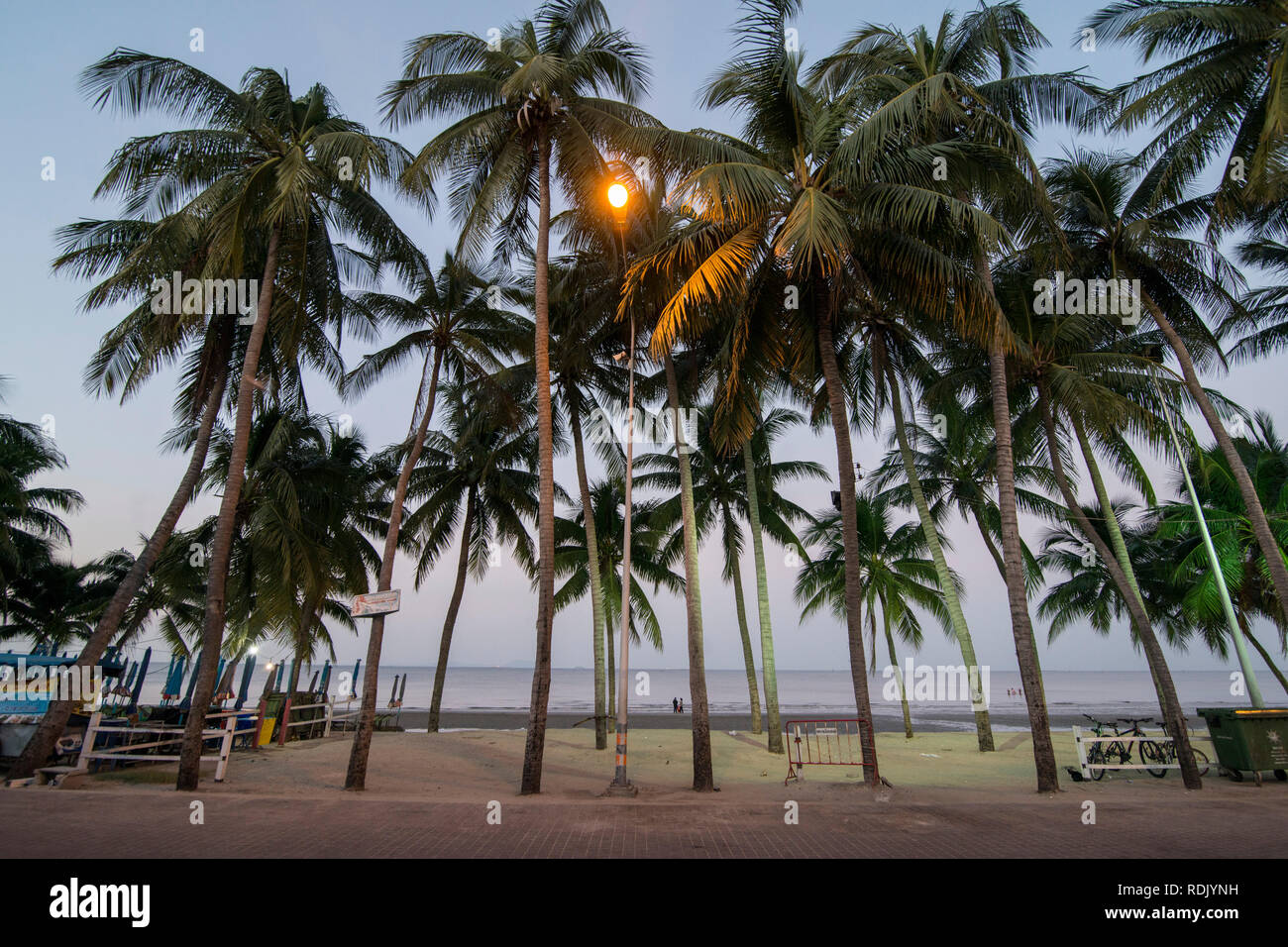 the Bang Saen Beach at the Town of Bangsaen in the Provinz Chonburi in ...