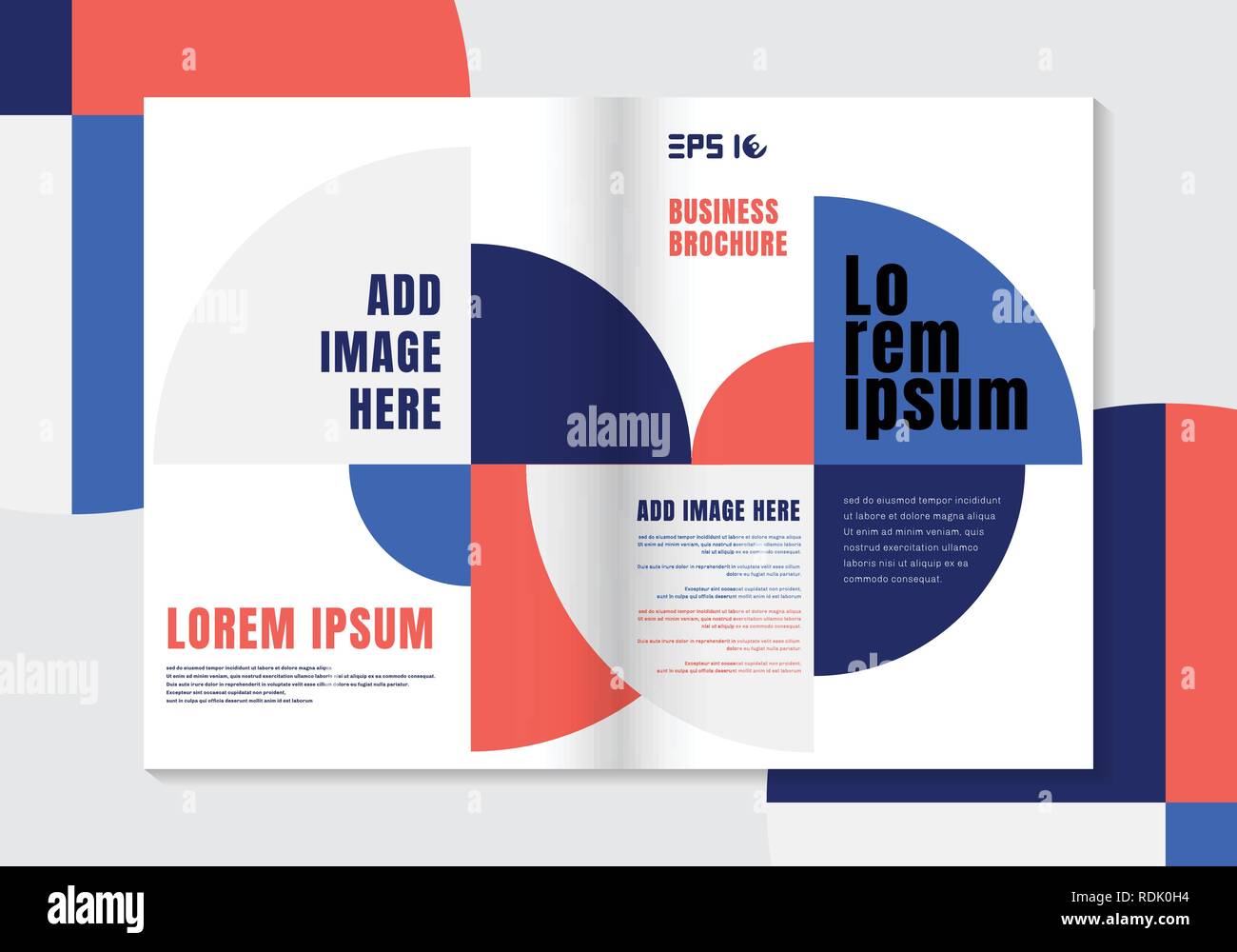 Brochure design template geometric vivid color circle element ...