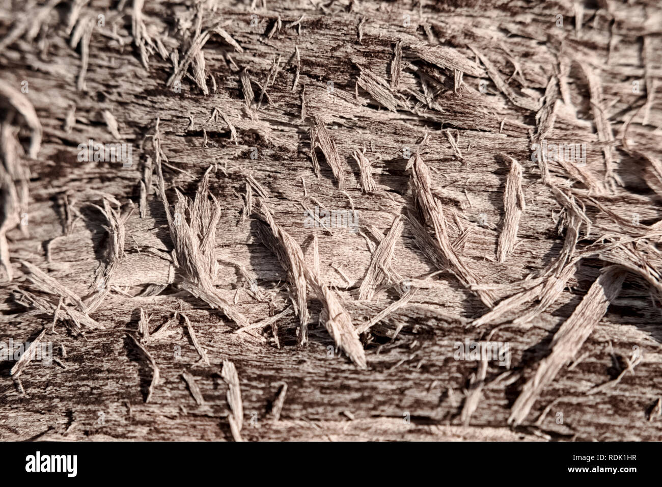 The texture of the cracked wood fibers and chips in the sun Stock Photo ...