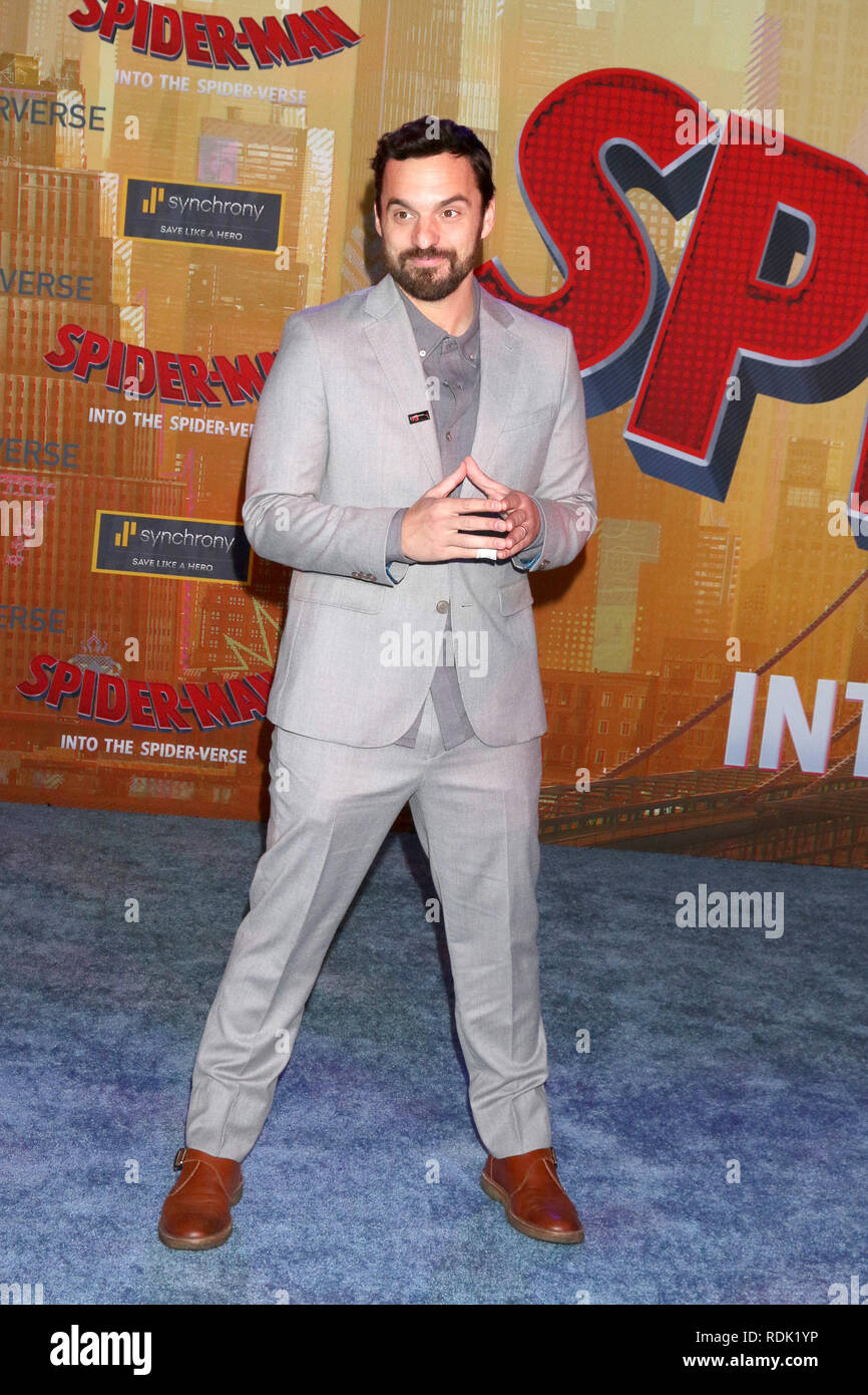 'Spider-Man: Into the Spider-Verse' Premiere at the Village Theater ...