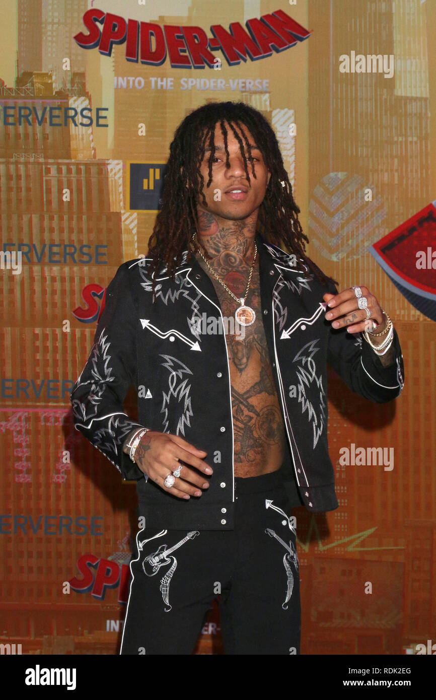 'Spider-Man: Into the Spider-Verse Premiere at the Village Theater ...