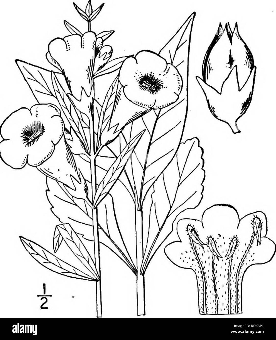 520 dc hi-res stock photography and images - Alamy