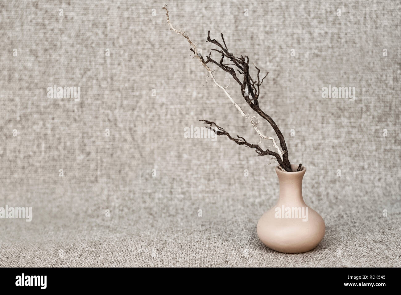 Dry clumsy branches dark and light in a clay jug on the background of ...